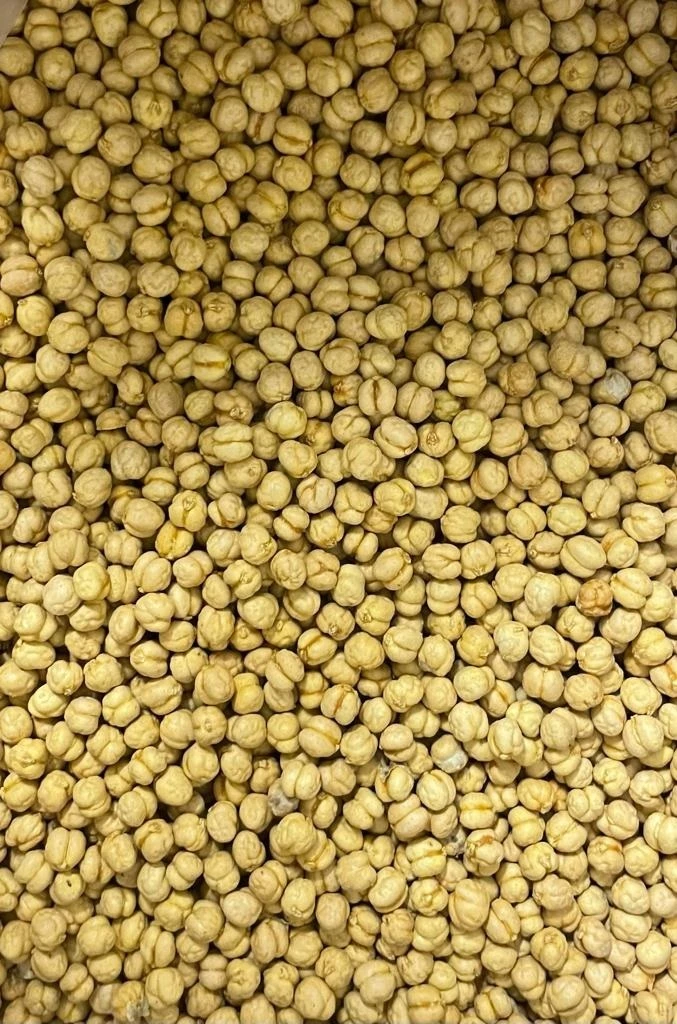 Figgy Yellow Chickpeas Salted 10Kg – Distributor In New Jersey, Florida ...